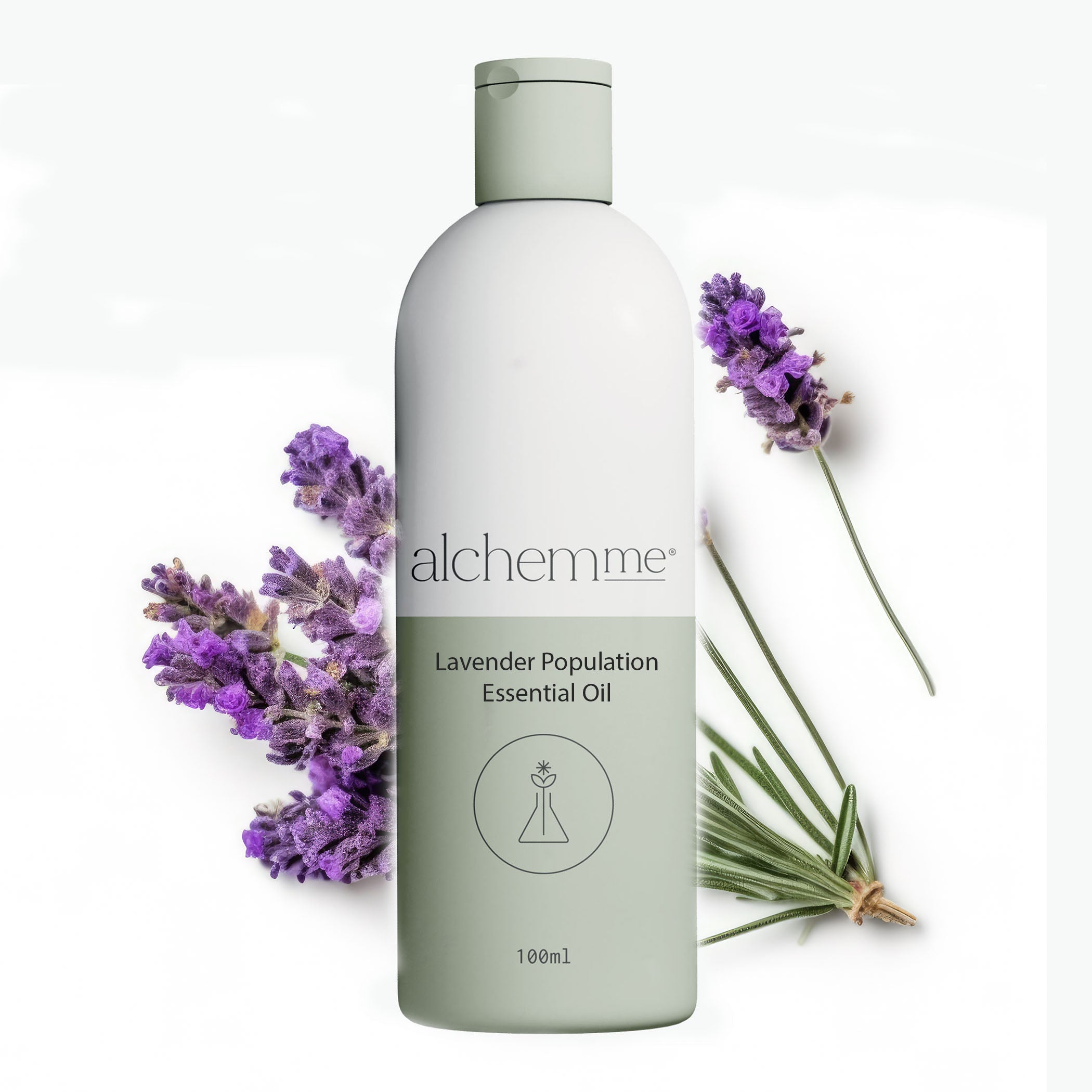 Lavender Population Essential OIl – Alchemme