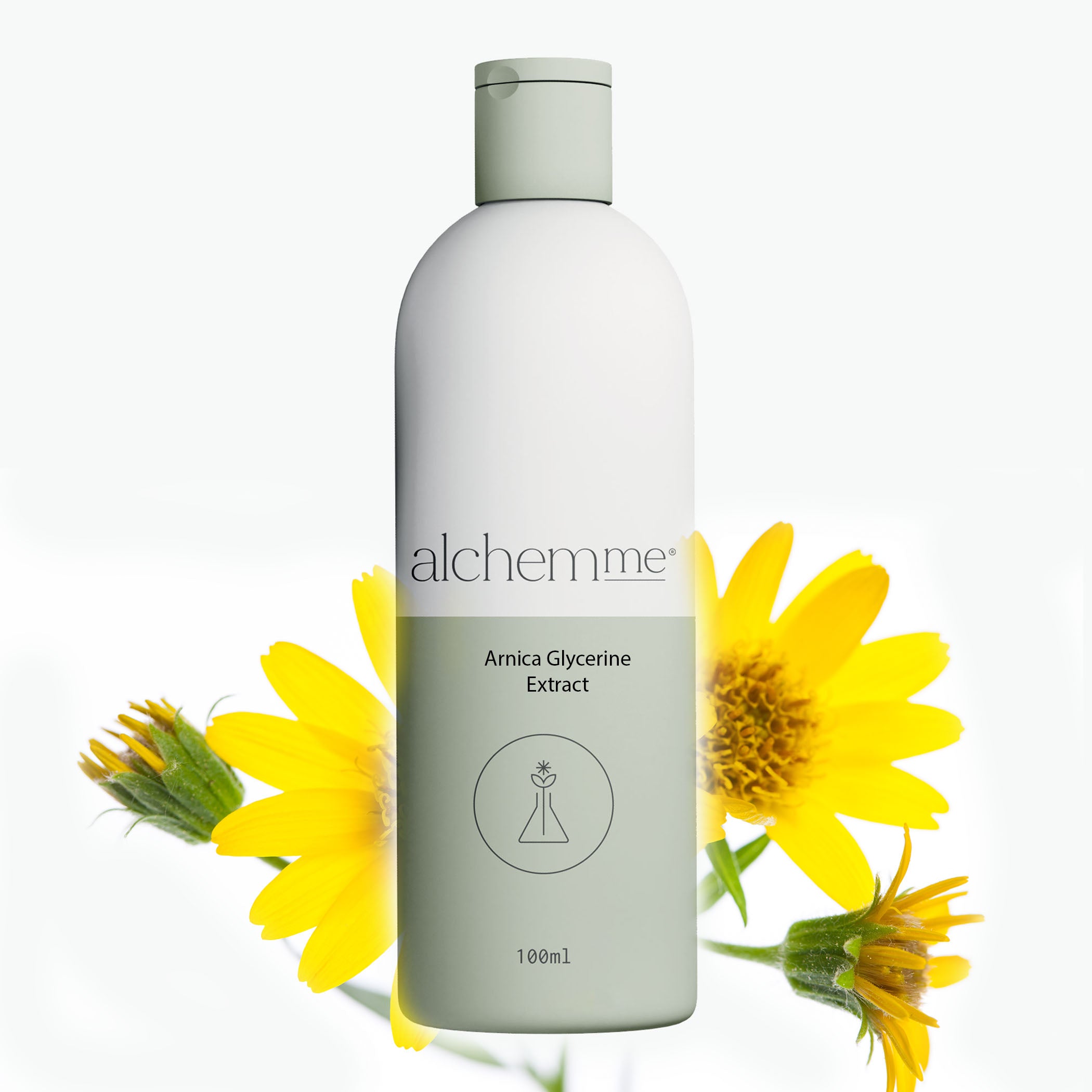 Arnica Powder Extract – Alchemme