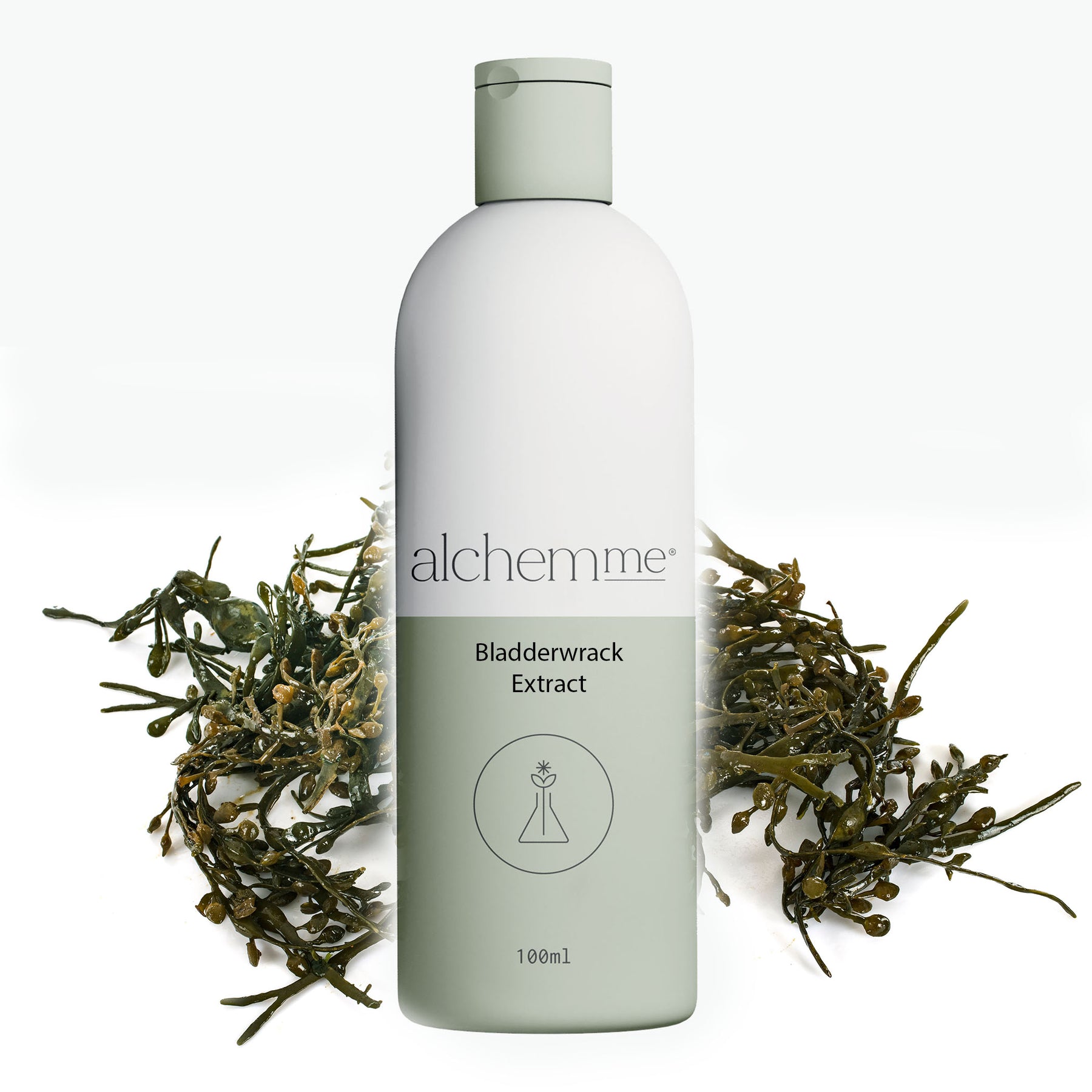 Bladderwrack Extract – Alchemme